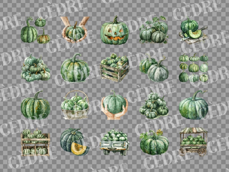 Watercolor Green Pumpkin Clipart, Green Pumpkins Clipart, Invite Card ...