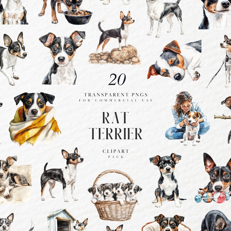 Rat Terrier Art - Etsy