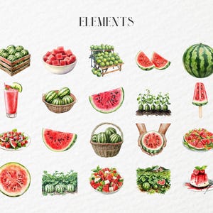 Watercolor Watermelon Clipart, Refreshing Watermelons Clipart, Summer ...