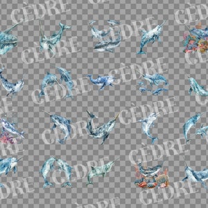 Watercolor Narwhal Clipart, Toothed Whale Clipart, Marine Mammals ...