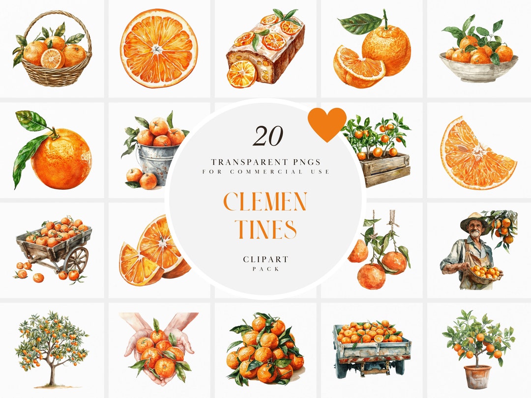 Watercolor Clementine Clipart, Citrus Fruit Clipart, Botanical Tangor ...