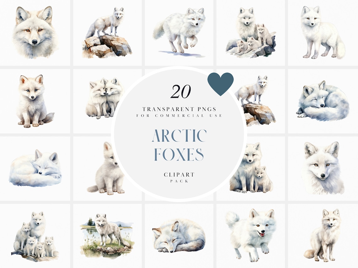Watercolor Arctic Fox Clipart, Arctic Foxes Clipart, White Fox Clipart ...
