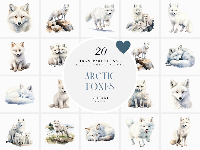 Watercolor Arctic Fox Clipart, Arctic Foxes Clipart, White Fox Clipart ...