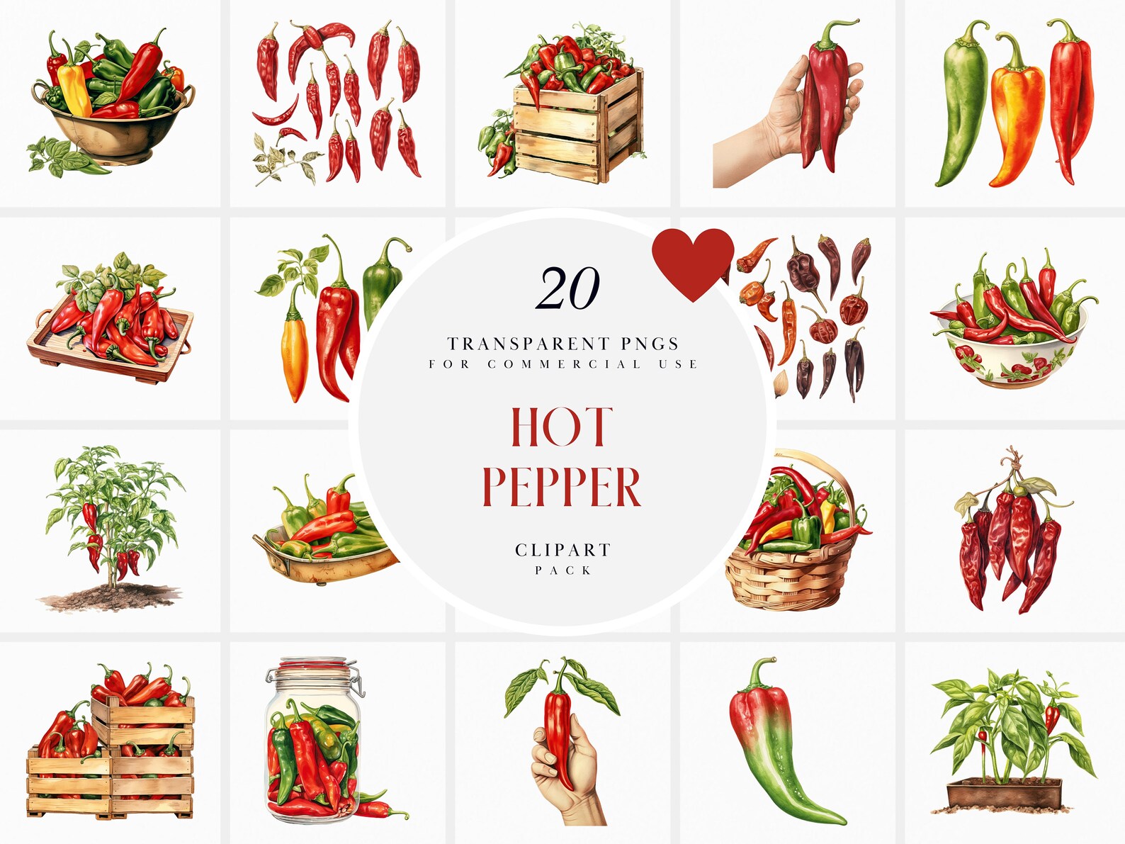 Watercolor Hot Pepper Clipart, Red Hot Peppers Clipart, Garden Pepper ...