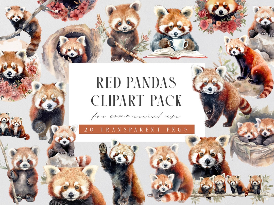 Watercolor Red Panda Clipart Red Pandas Clipart Cute Red - Etsy