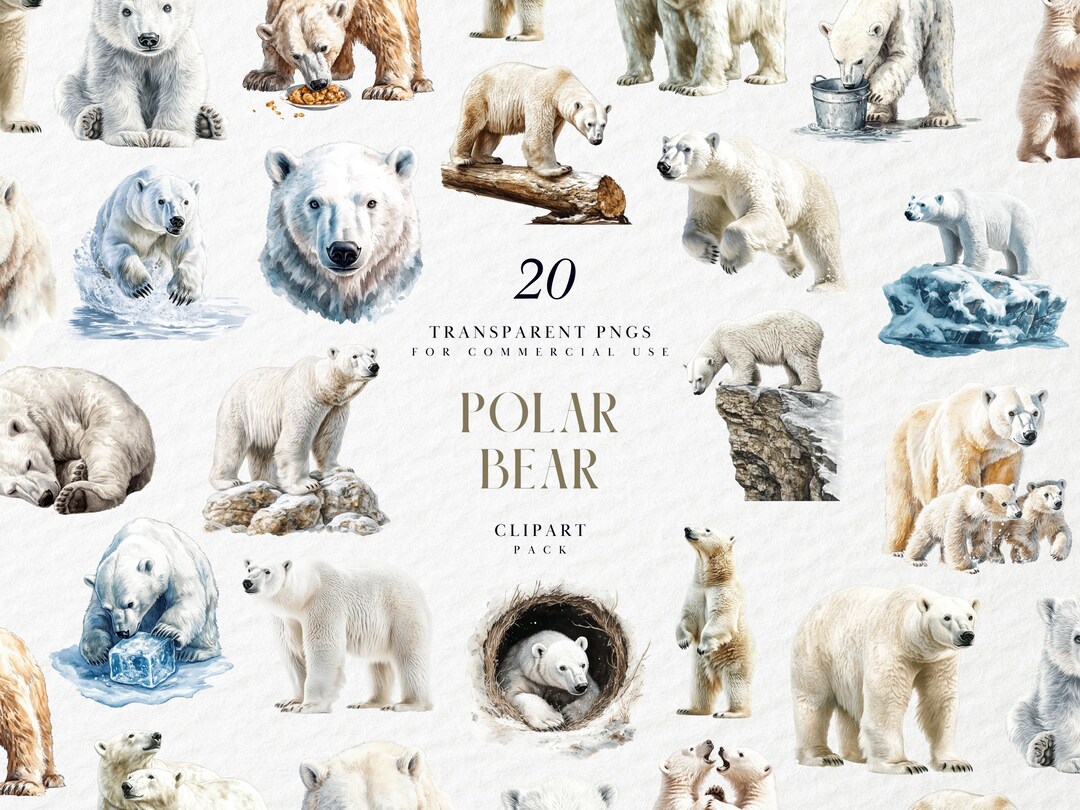 Watercolor Polar Bear Clipart, White Polar Bears Clipart, Realistic ...