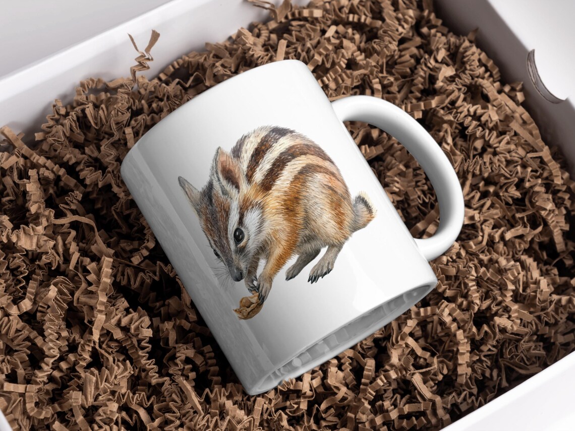 Watercolor Realistic Numbat Clipart, Numbats, Australian Fauna ...