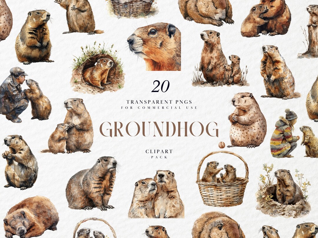 Watercolor Groundhog Clipart, Woodchuck Clipart, Spring, Groundhog Day ...