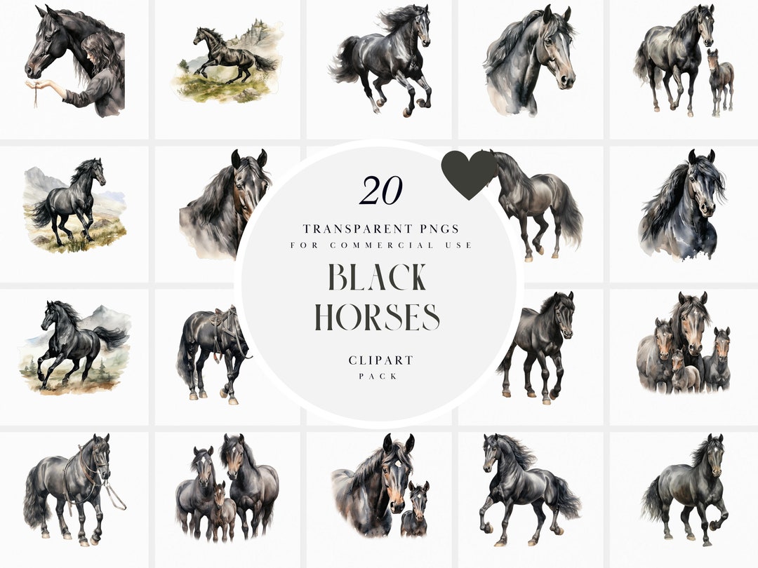 Watercolor Black Horse Clipart, Black Horses Clipart, Black Pony ...