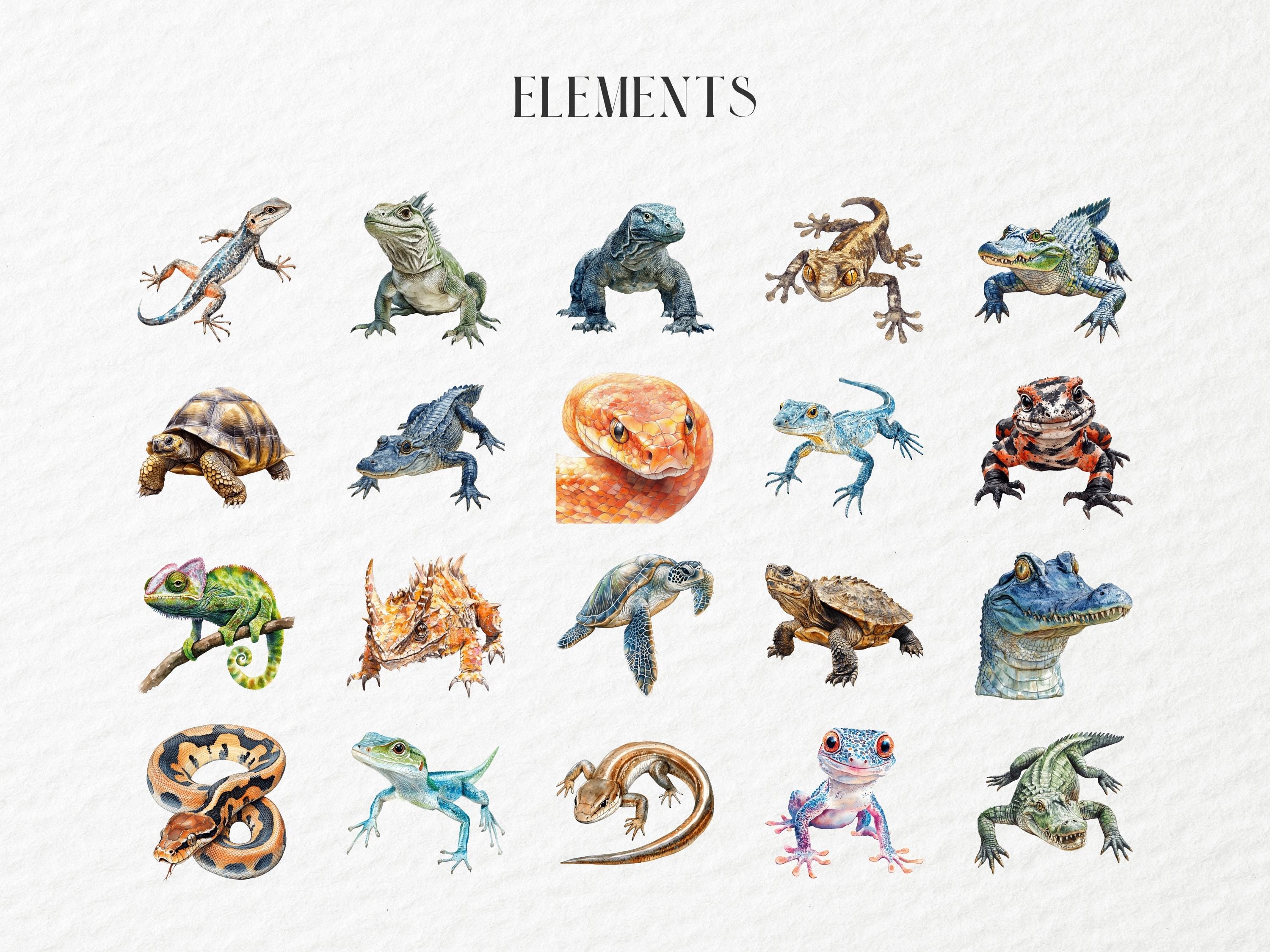 Watercolor Reptiles Clipart, Lizard Snake Turtle Alligator, Realistic ...