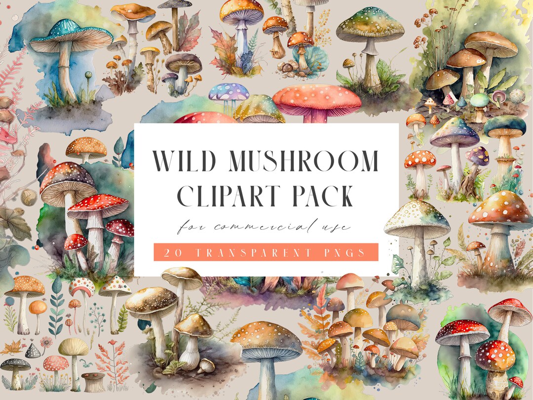 Watercolor Wild Mushrooms Clipart Forest Mushroom Clipart - Etsy