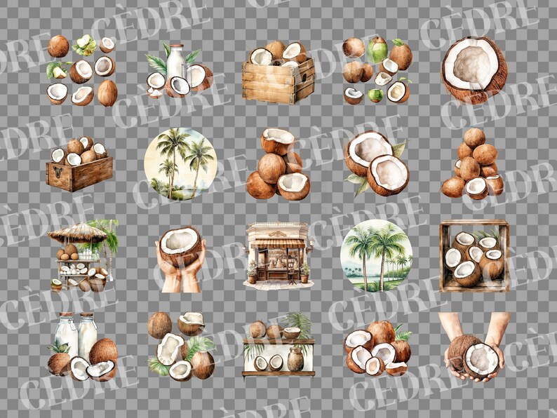 Watercolor Coconuts Clipart, Refreshing Coconut Clipart, Tropical ...