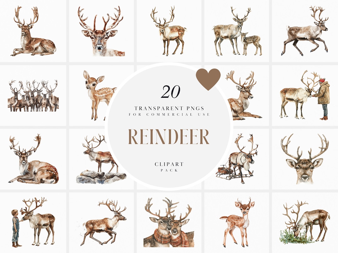Watercolor Realistic Reindeer Clipart, Reindeers Clipart, Arctic ...