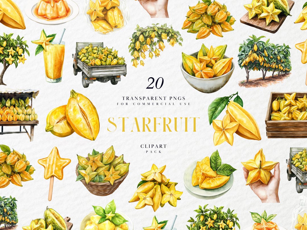 Watercolor Starfruit Clipart, Exotic Yellow Carambola, Tropical Summer ...