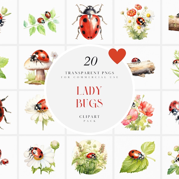 Ladybug Clipart - Etsy