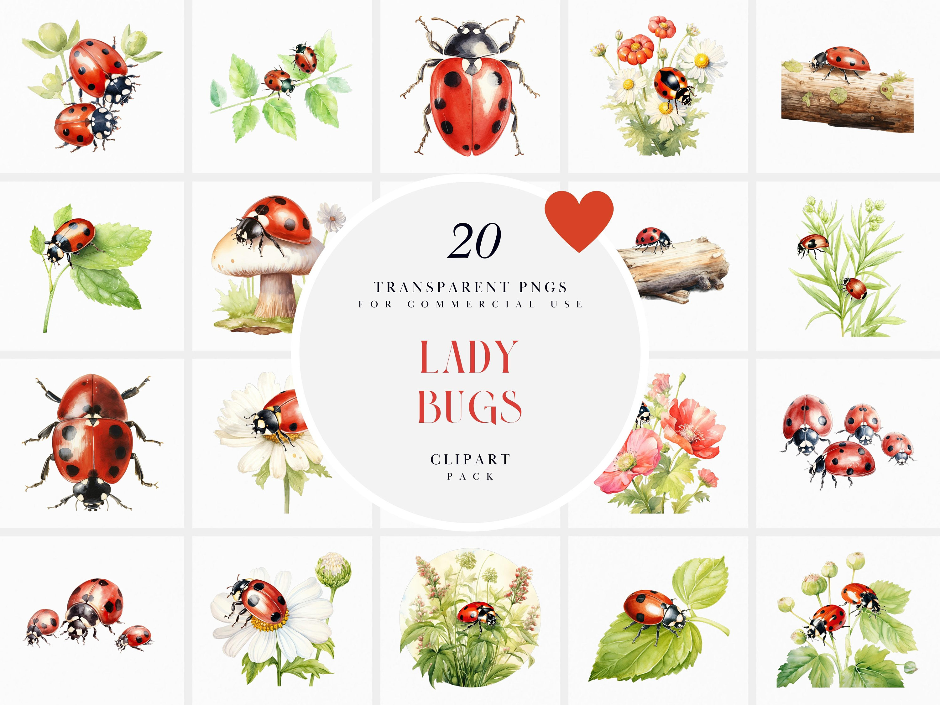 Watercolor Red Ladybugs Clipart, Flying Red Ladybug Bundle, Ladybird ...