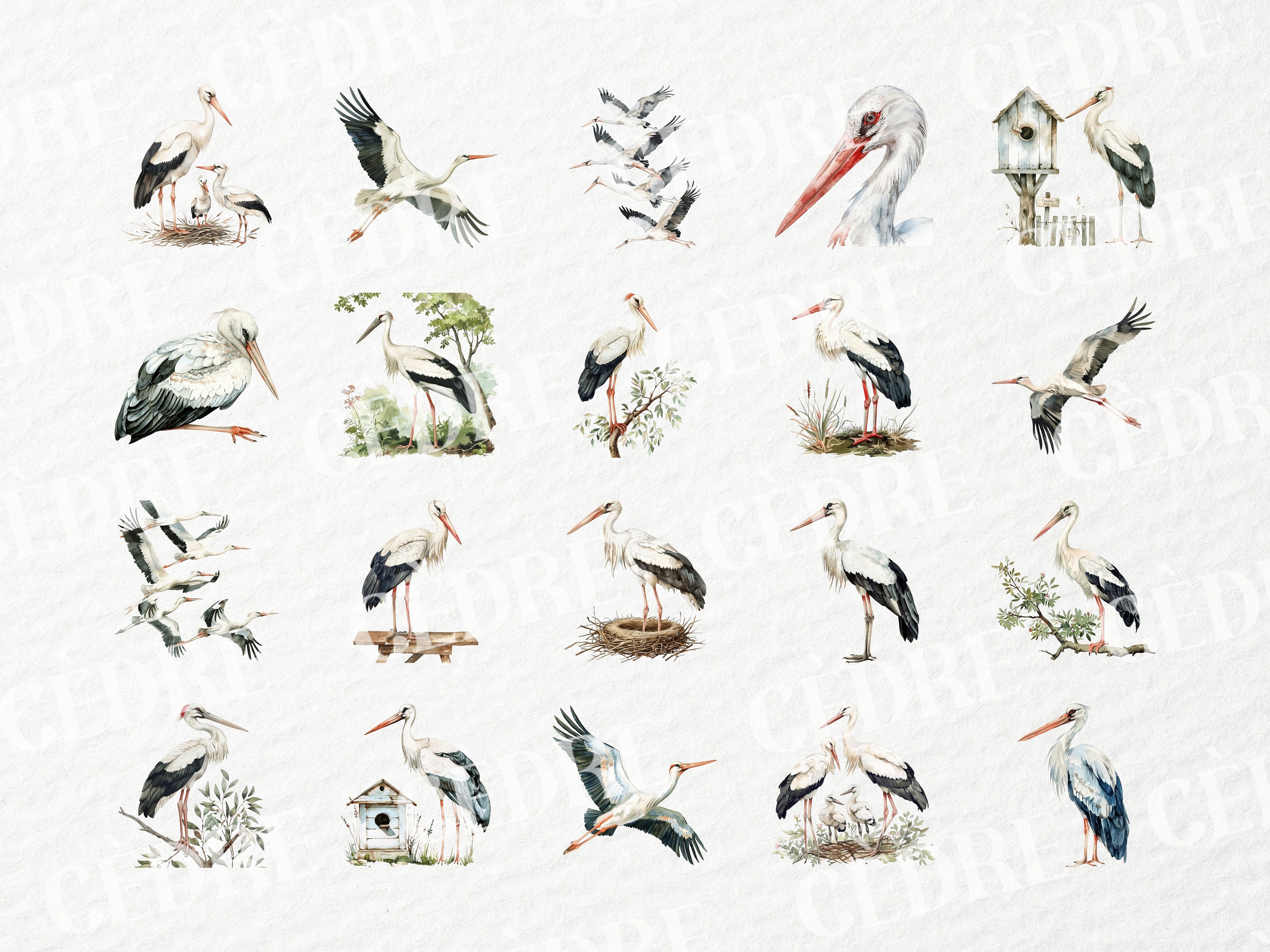 Watercolor Common Stork Clipart, Flying Storks Clipart, Baby Carrying ...