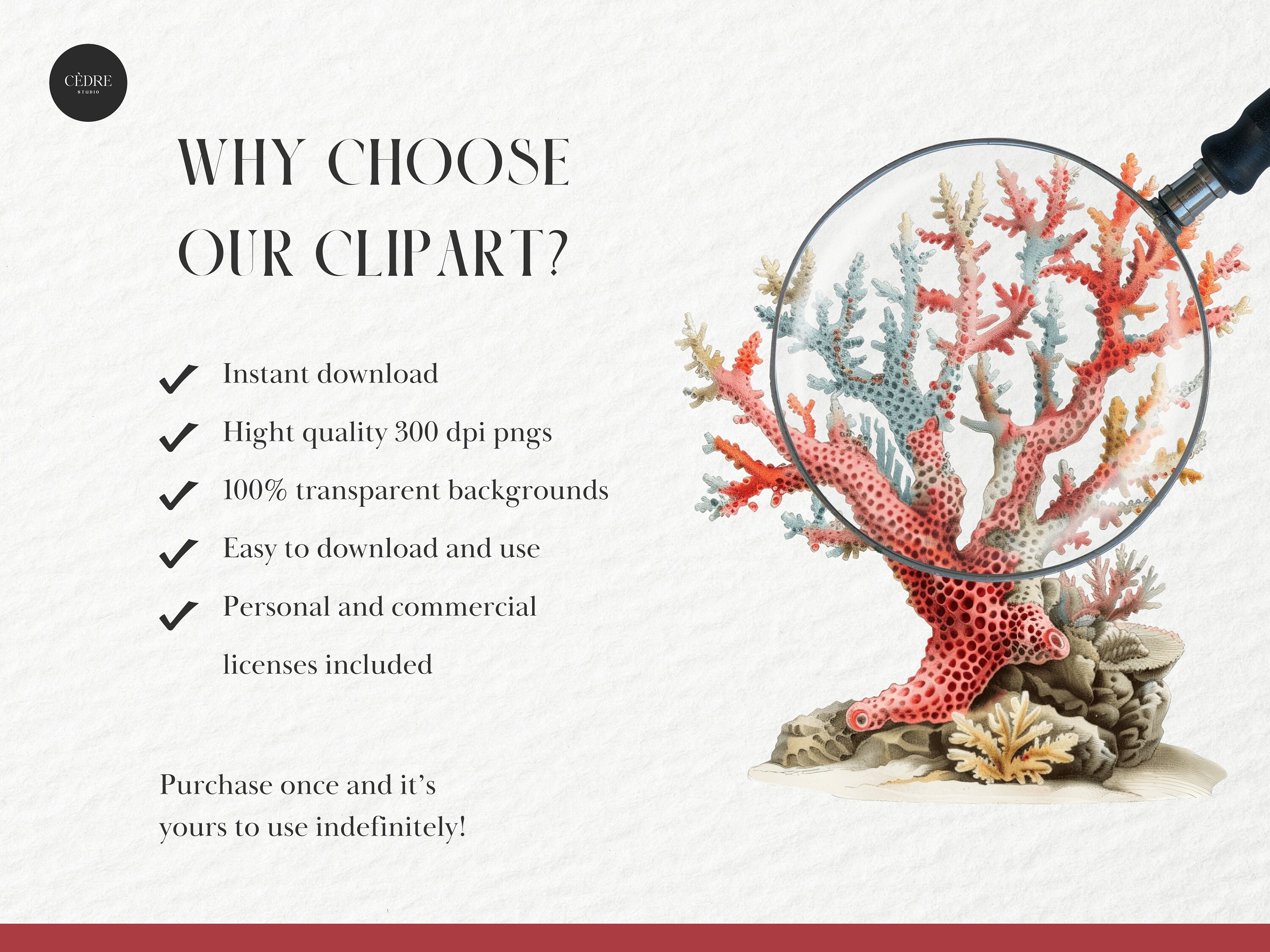 Watercolor Sea Coral Clipart, Coastal Ocean Coral Clipart, Marine Coral ...