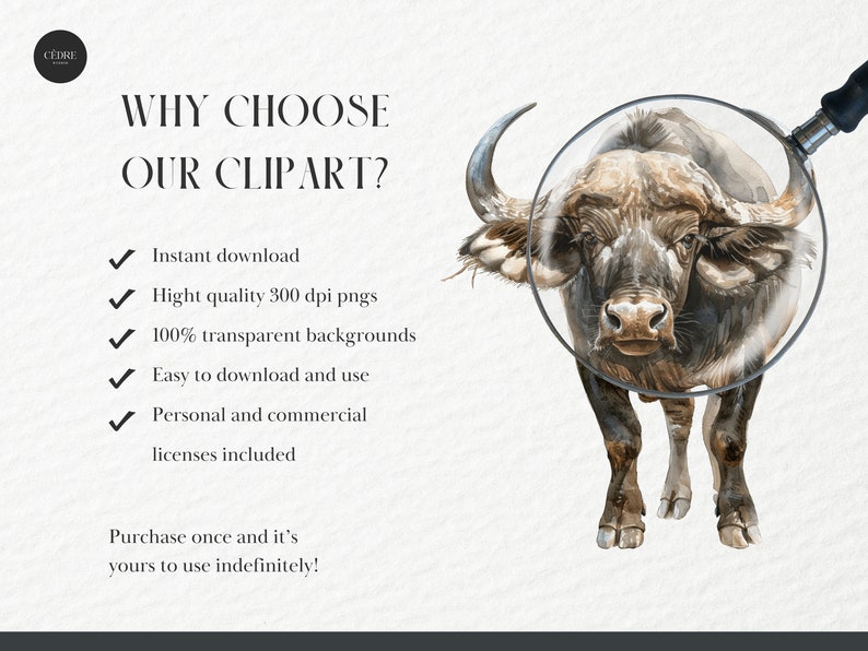 Watercolor Cape Buffalo Clipart, South African Buffalo Clipart ...