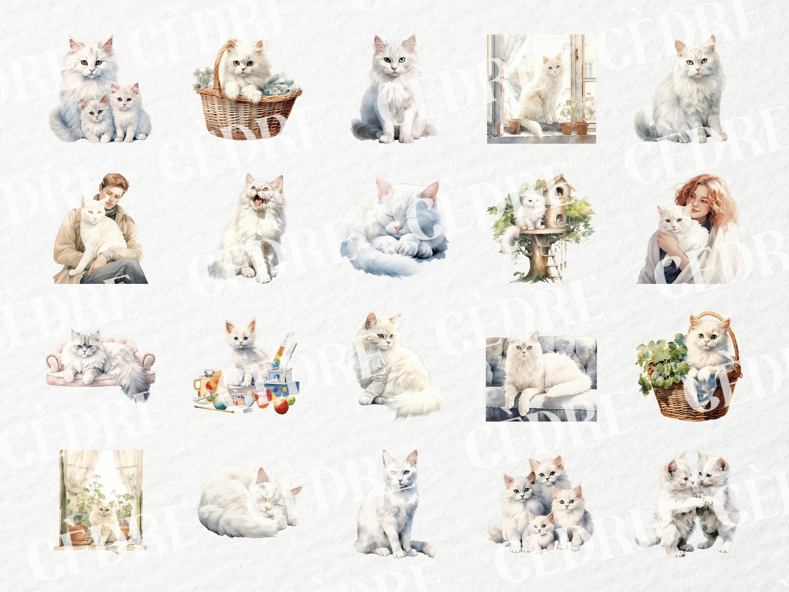 Watercolor White Cat Clipart, Cute White Cats Clipart, White Kittens ...
