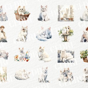 Watercolor White Cat Clipart, Cute White Cats Clipart, White Kittens ...
