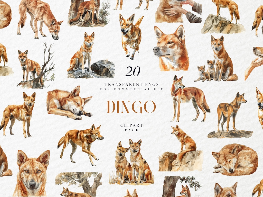 Watercolor Dingo Dog Clipart, Dingos Cute Puppy Pup Dingo, Family Home ...
