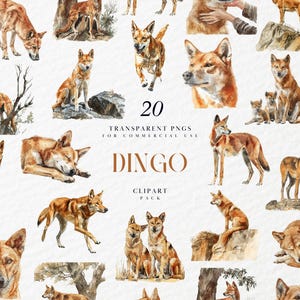 Watercolor Dingo Dog Clipart, Dingos Cute Puppy Pup Dingo, Family Home ...