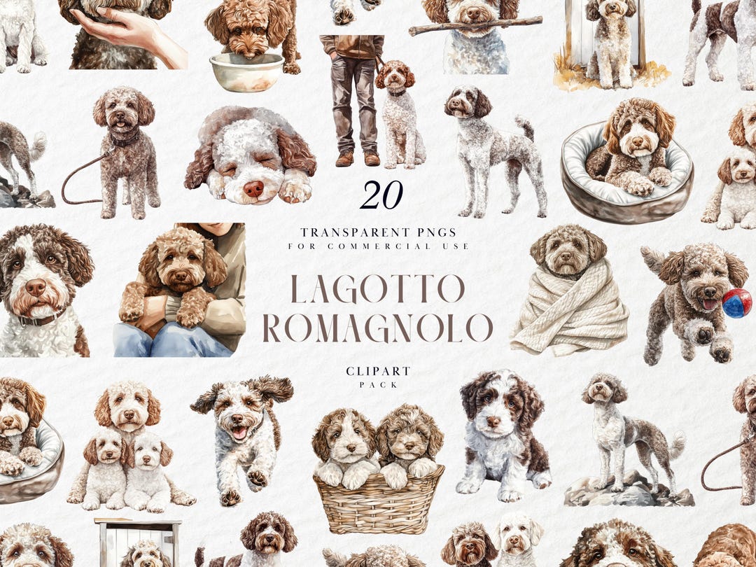 Watercolor Lagotto Romagnolo Clipart, Italian Water Dog Breed, Fluffy ...