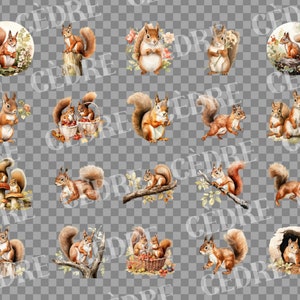 Watercolor Squirrels Clipart, Woodland Squirrel Clipart, Cute Baby ...