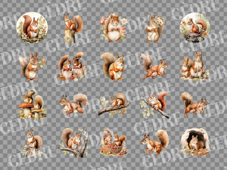 Watercolor Squirrels Clipart, Woodland Squirrel Clipart, Cute Baby ...