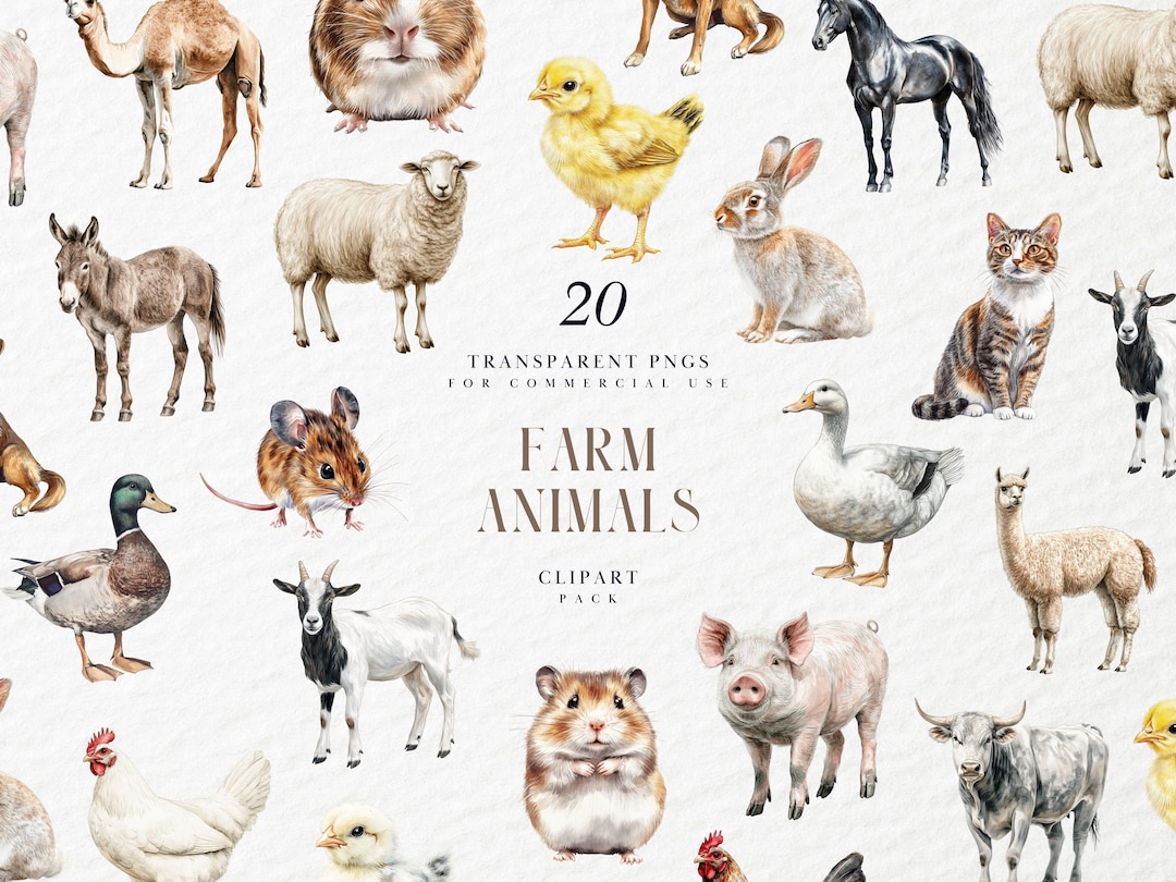Watercolor Realistic Farm Animals Clipart, Livestock, Cattle, Cow ...