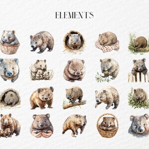 Watercolor Wombat Clipart, Realistic Zoo Animals, Australian Wildlife ...