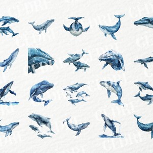 Watercolor Blue Whale Clipart, Baleen Whales Clipart, Swimming Blue ...