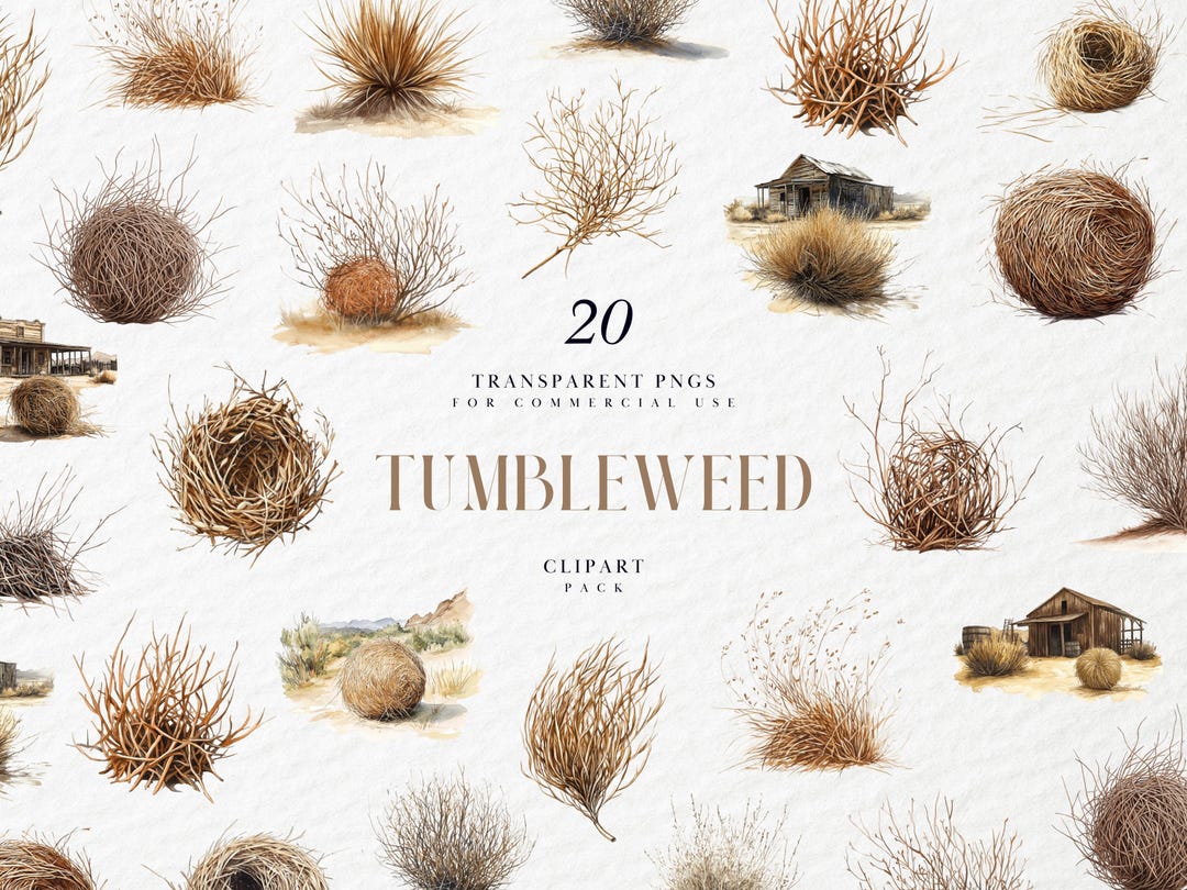 Watercolor Tumbleweed Clipart, Rustic Wild West Plant, Dry Bush for ...
