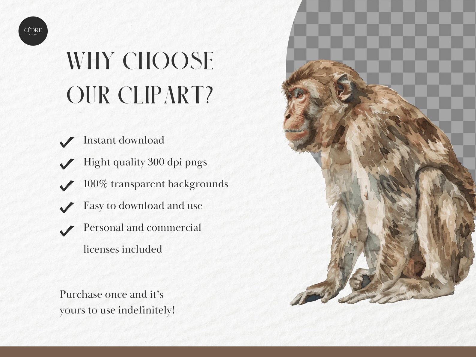 Watercolor Macaque Clipart, Realistic Zoo Animals Clipart, Primates ...