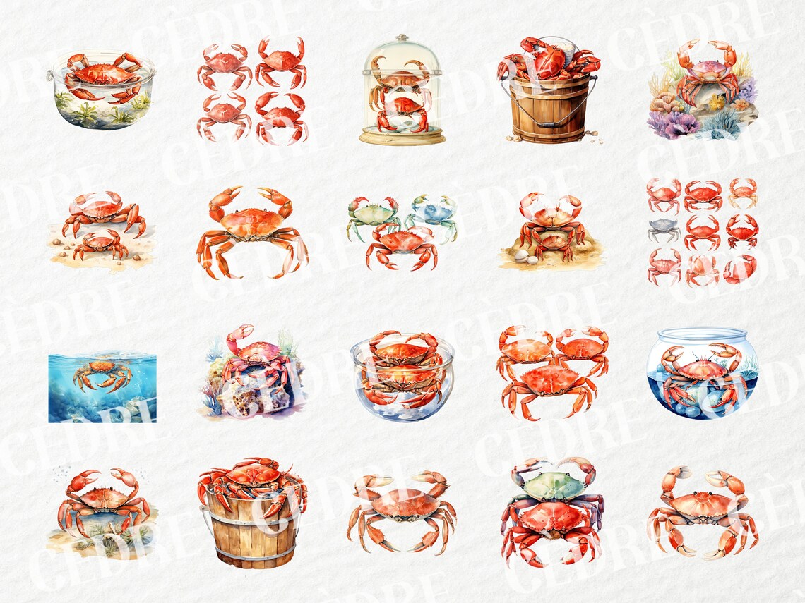 Watercolor Crab Clipart, Sea Life Crabs Clipart, Under the Sea ...