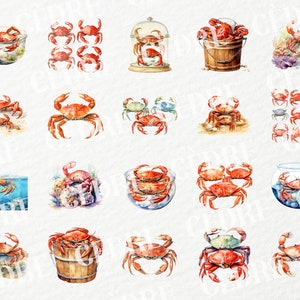 Watercolor Crab Clipart, Sea Life Crabs Clipart, Under the Sea ...