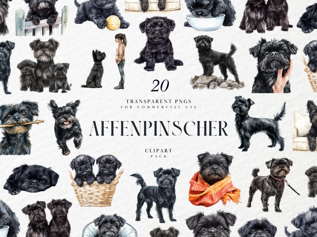 Watercolor Affenpinscher Clipart, Scruffy Monkey-faced Toy Dog Decor ...