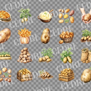 Watercolor Potato Clipart, Potatoes Clipart, Root Vegetable Clipart ...