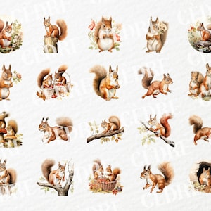 Watercolor Squirrels Clipart, Woodland Squirrel Clipart, Cute Baby ...