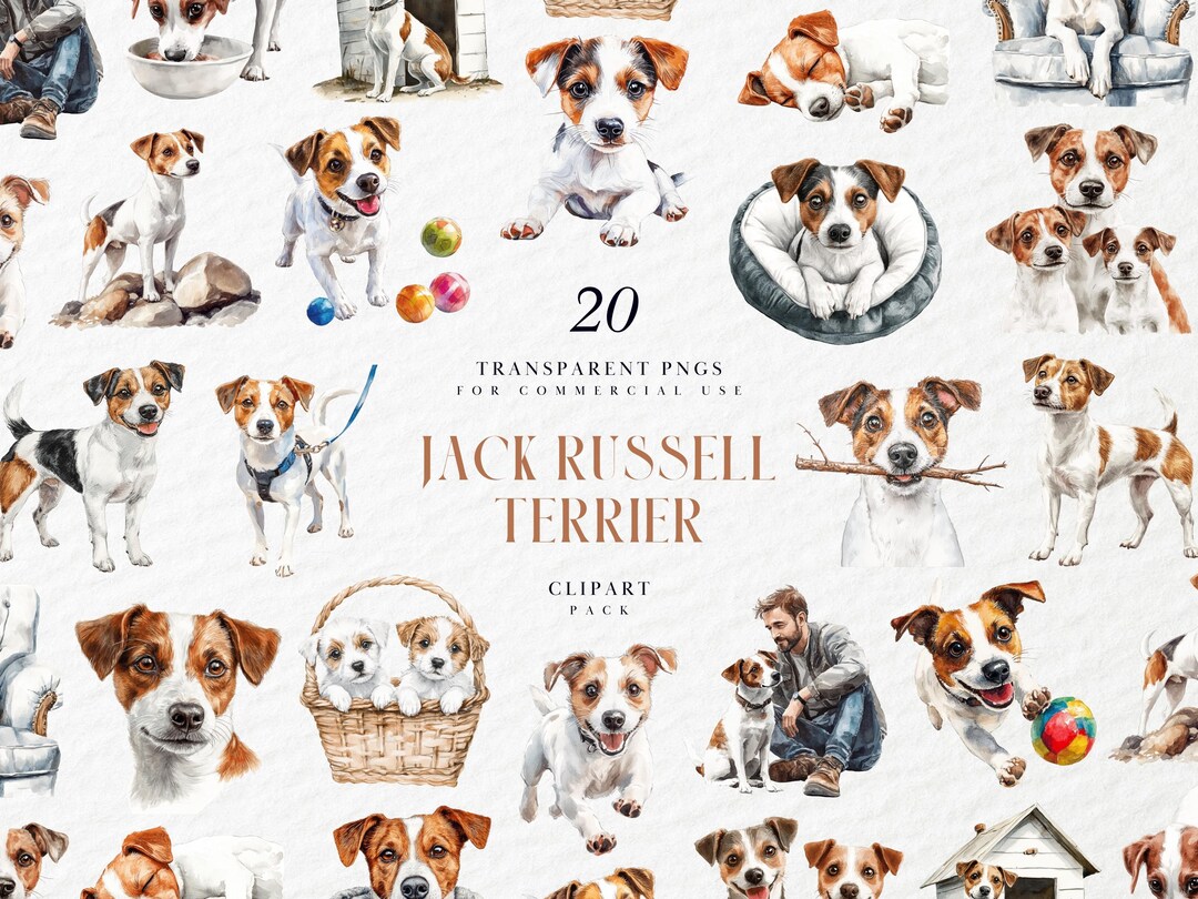 Watercolor Jack Russell Terrier Clipart, British Puppy Dog Breed, Cute ...