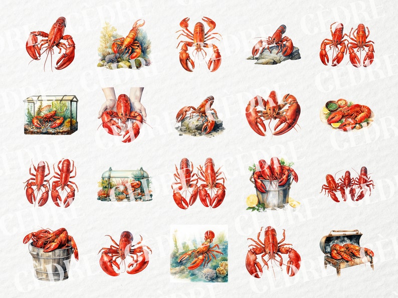 Watercolor Lobster Clipart, Sea Life Lobsters Clipart, Under the Sea ...