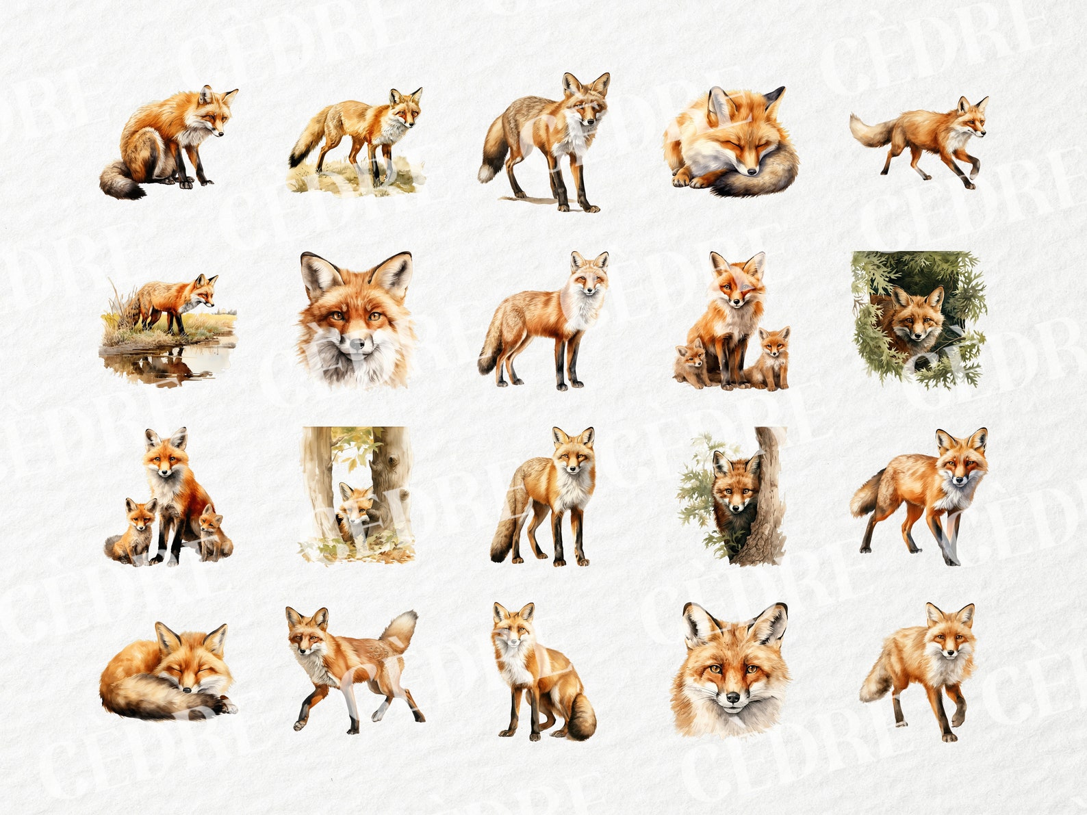 Watercolor Red Fox Clipart, Red Foxes Clipart, Woodland Fox Clipart ...