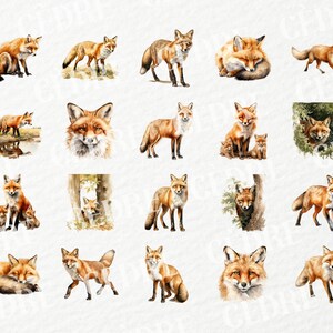 Watercolor Red Fox Clipart, Red Foxes Clipart, Woodland Fox Clipart ...
