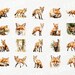 Watercolor Red Fox Clipart, Red Foxes Clipart, Woodland Fox Clipart ...