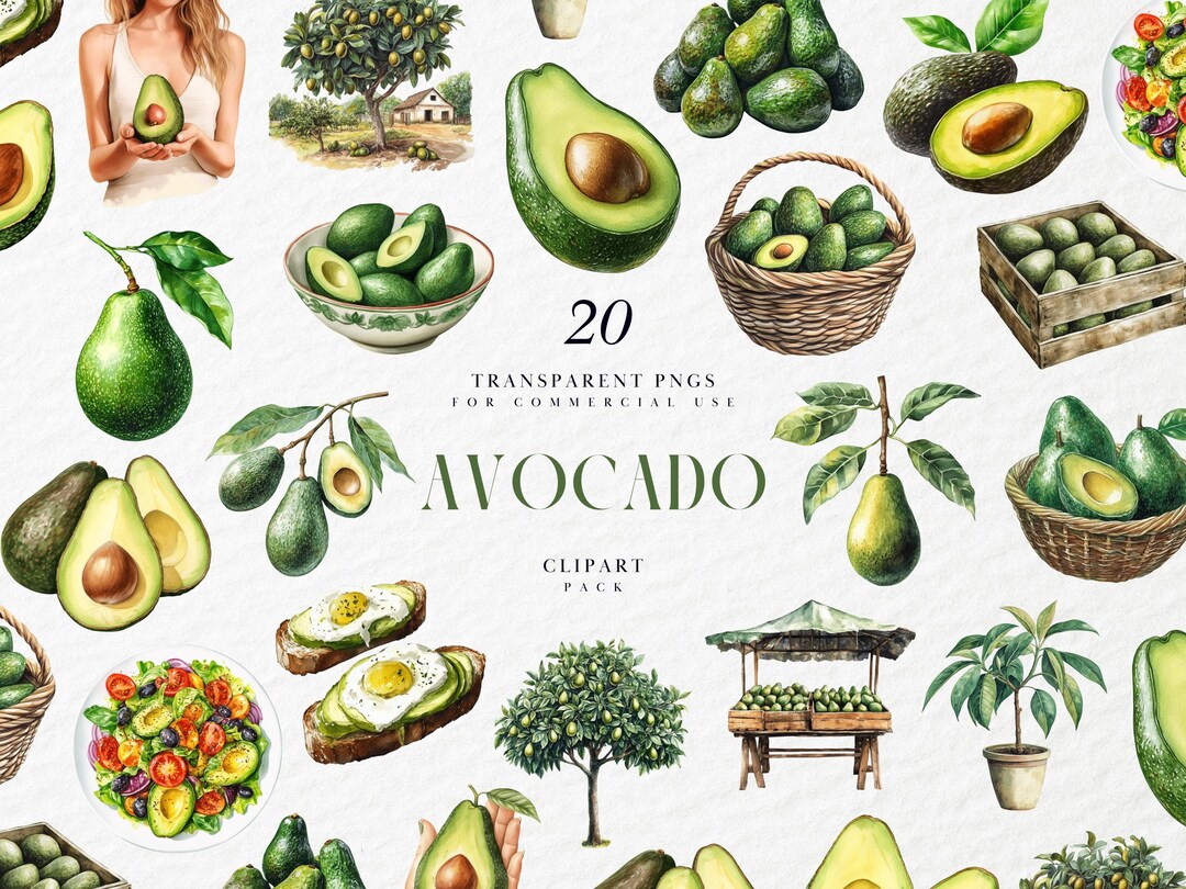 Watercolor Avocados Clipart, Green Avocado Clipart, Plant Avocado Fruit ...