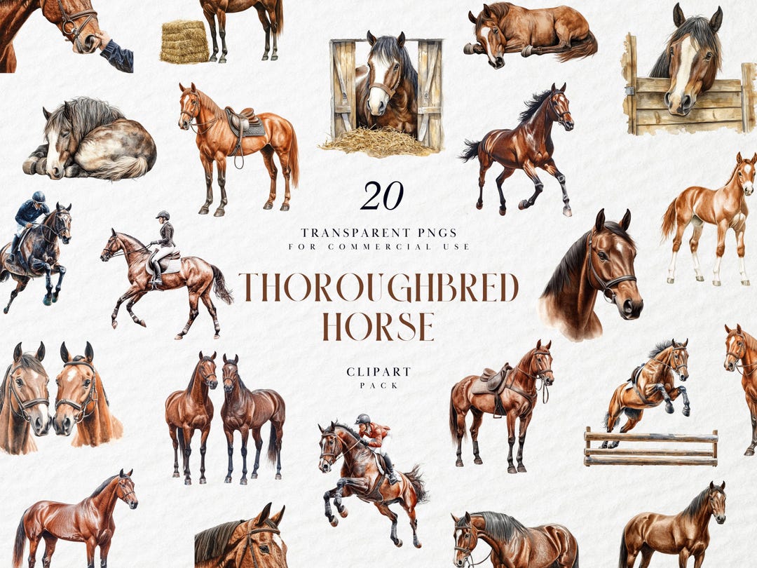 Watercolor Thoroughbred Horse Clipart, Horseback Riding, Pony, Shire ...