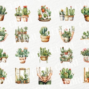 Watercolor Cactus Pot Clipart, Cacti Pot Clipart, Potted Cactus House ...