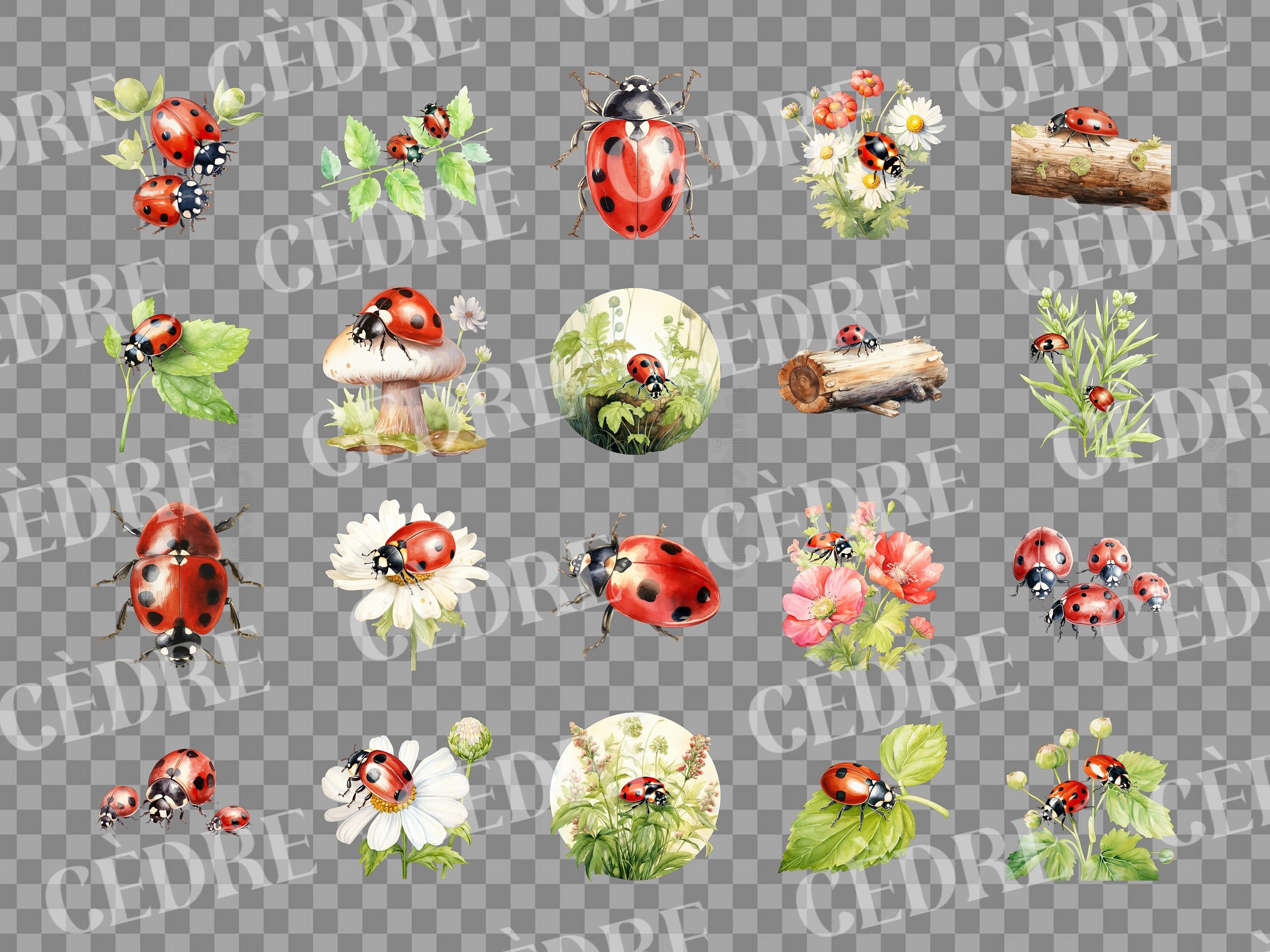 Watercolor Red Ladybugs Clipart, Flying Red Ladybug Bundle, Ladybird ...