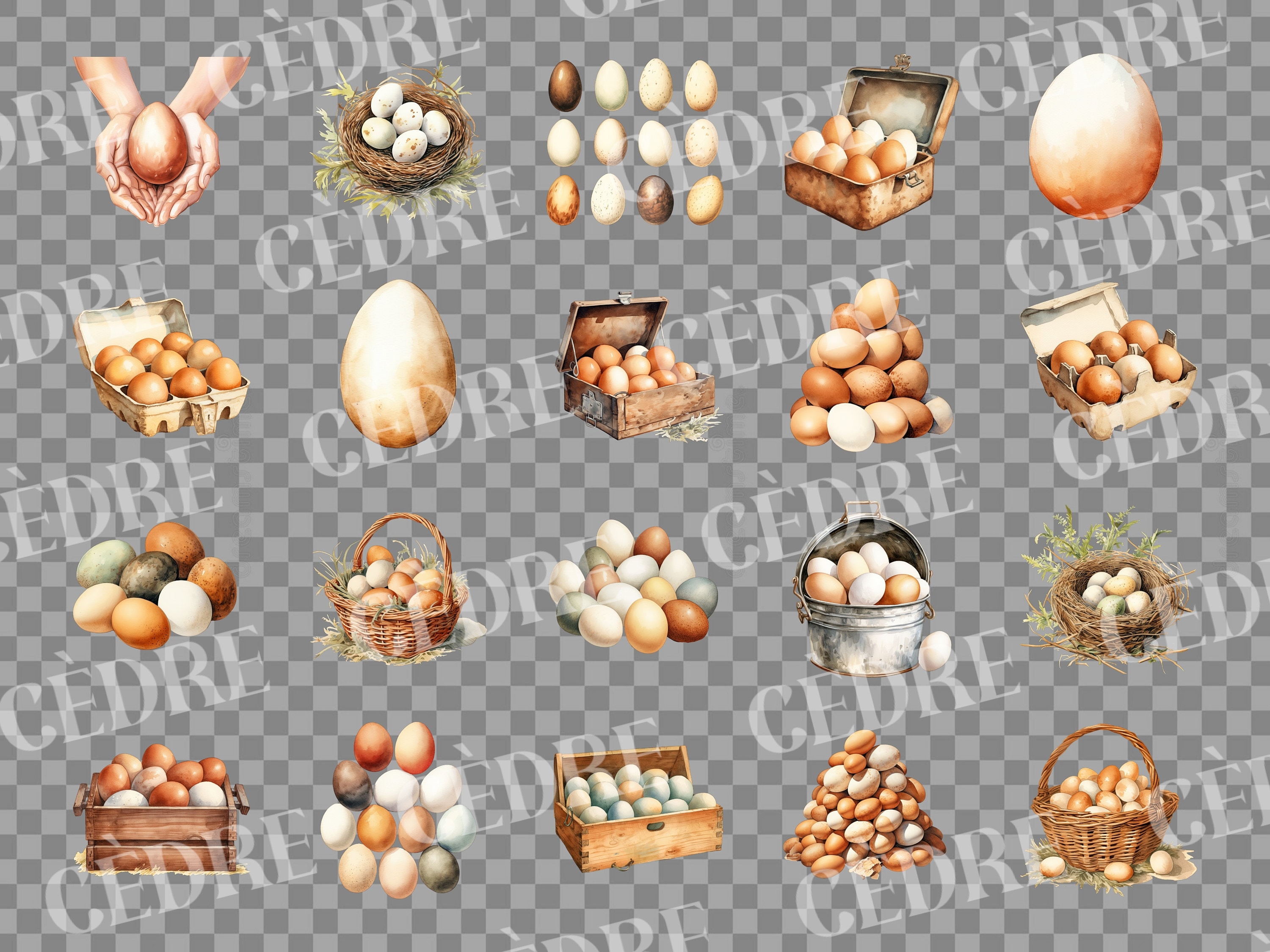Watercolor Eggs Clipart, Chicken Eggs Clipart, Carton of Eggs Clipart ...